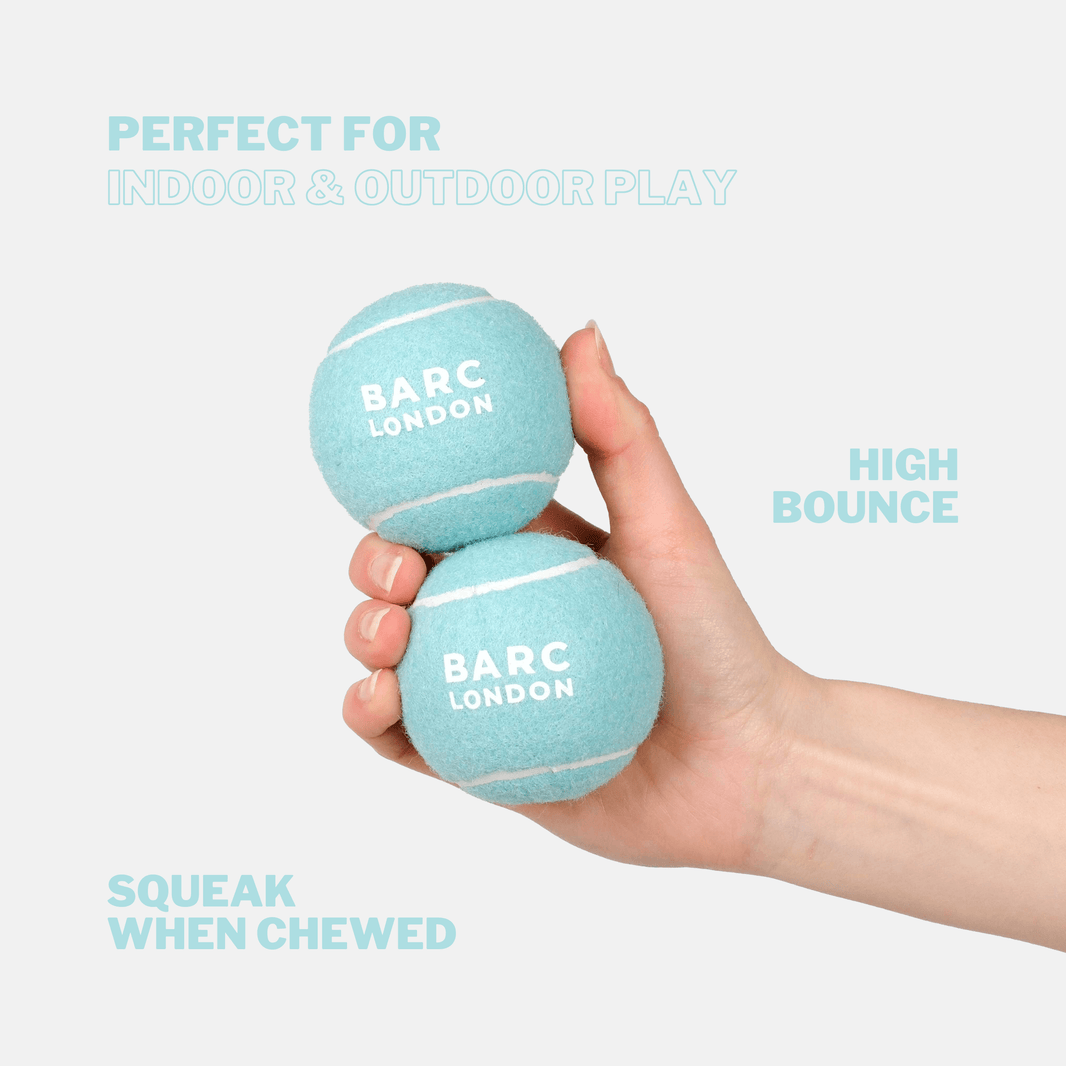 Dog Balls | Bouncy, Squeaky & Durable | Barc London