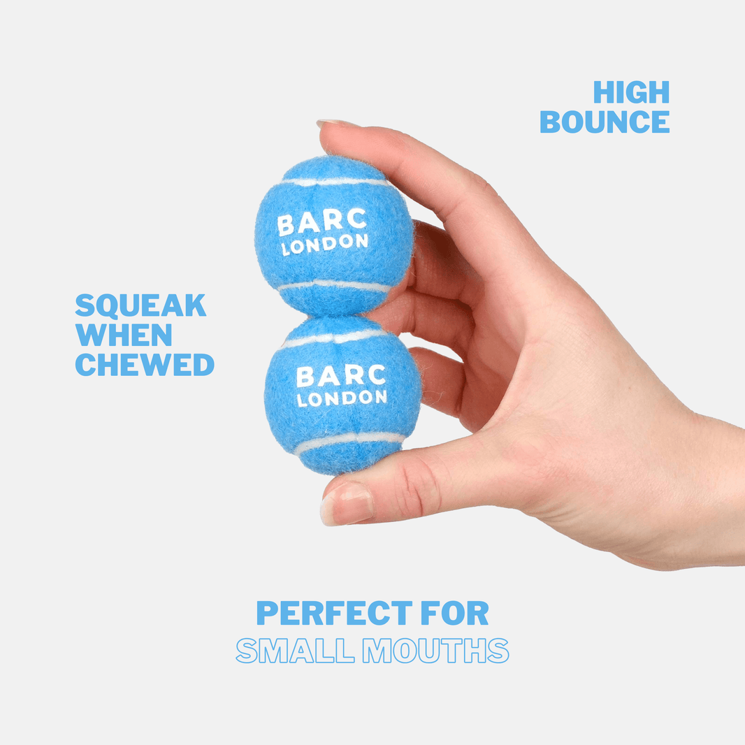 Dog Balls | Bouncy, Squeaky & Durable | Barc London