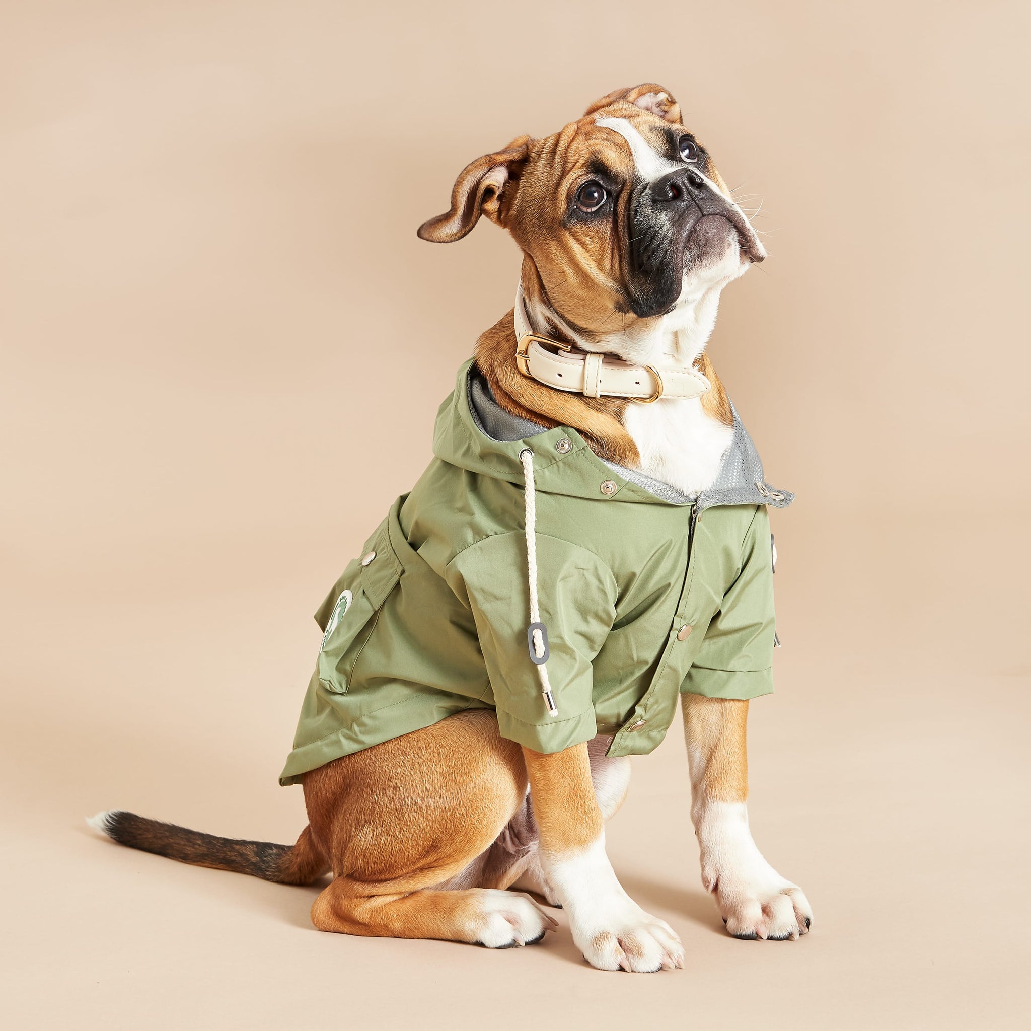 Khaki Green Dog Raincoat: Waterproof Dog Coats | Barc London