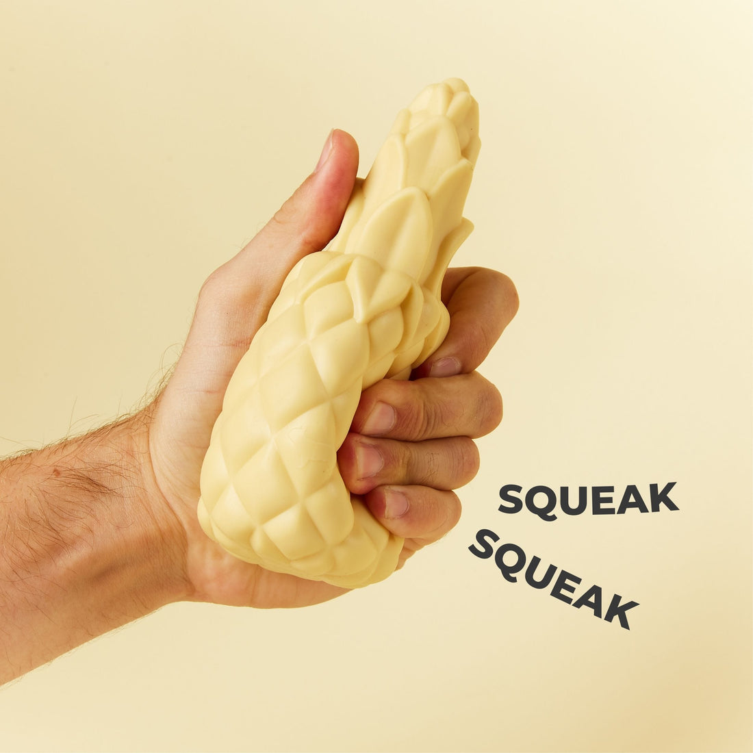 Pineapple Dog Squeaker | Squeaky Dog Toys | Barc London